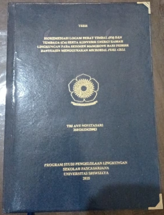 BIOREMEDIASI LOGAM BERAT TIMBAL (Pb) DAN TEMBAGA (Cu) SERTA KONVERSI ...